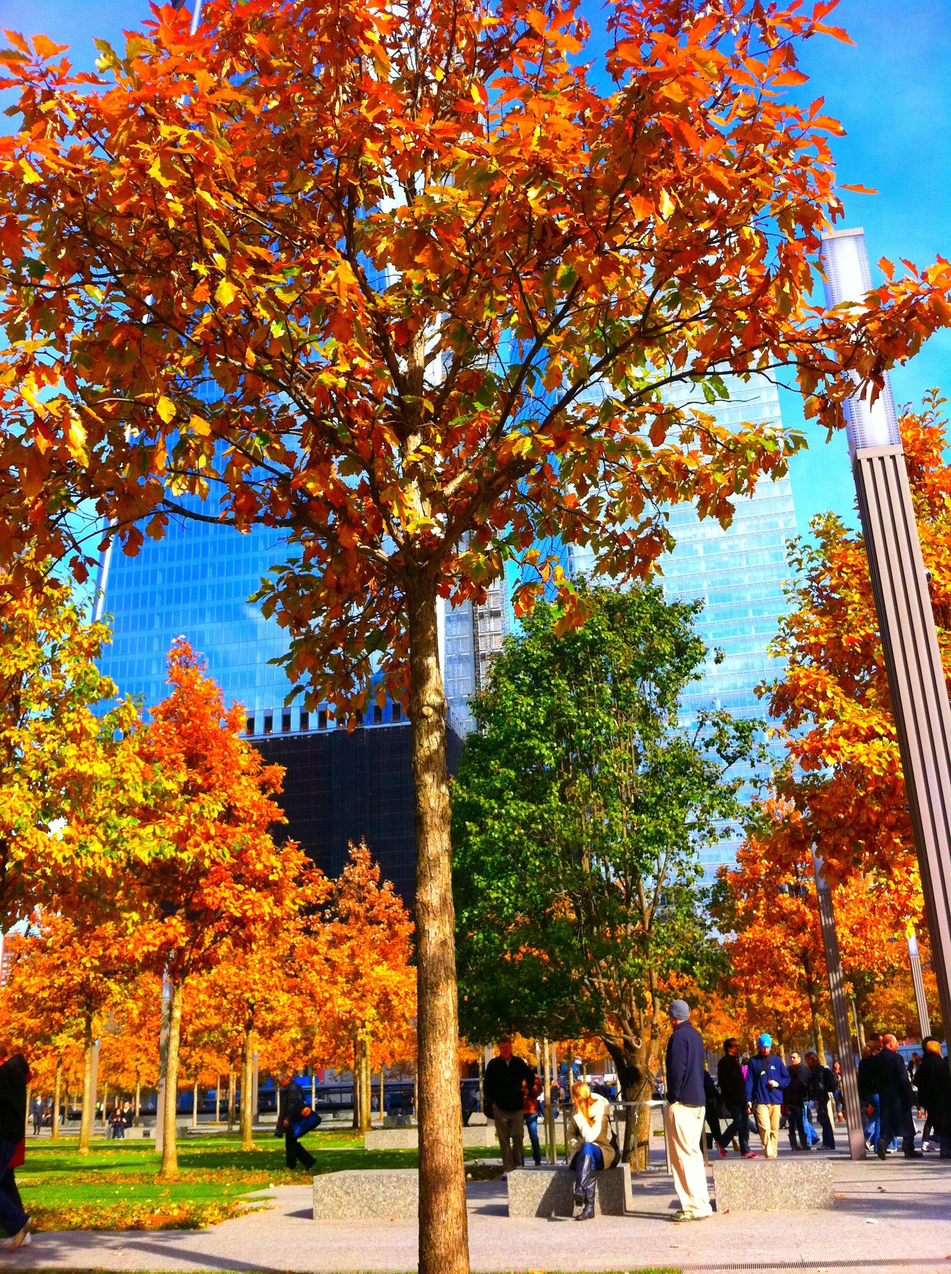 Blog Entry # 6 – 911 Memorial | All Is On